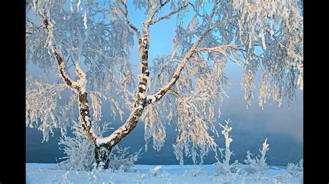 Giovanni Marradi Fascination Bērzi Ziemā Youtube