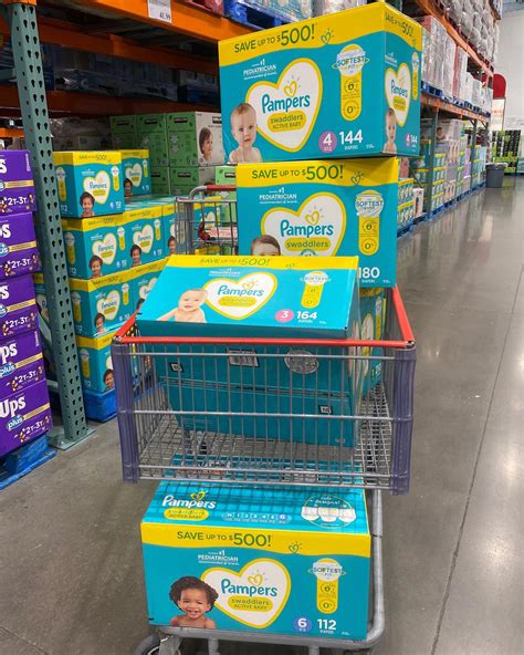 Costco Pampers Diapers Best Sale Danzhao Cc