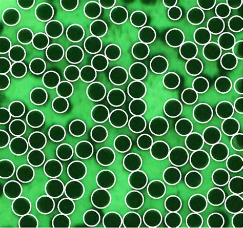 Determination Of Fiber Spatial Locations Using Hough Transform Download Scientific Diagram