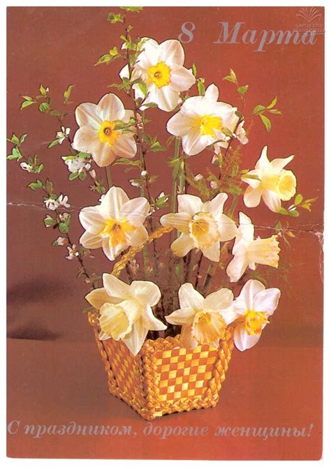 Iverieli სარვამარტო მისალოცი ბარათი გილოცავთ დღესასწაულს ძვირფასო ქალებო