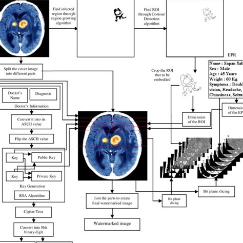 Flowchart Of Proposed Combined Crypto Watermarking Embedding Process