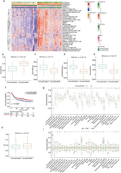 Integration Of Single Cell Sequencing And Bulk Transcriptome Data Develops Prognostic Markers