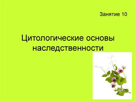 Цитологические основы наследственности Занятие 10 презентация онлайн