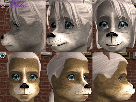 Mod The Sims Lupine Anthropomorph Face Archetype Non Replacement