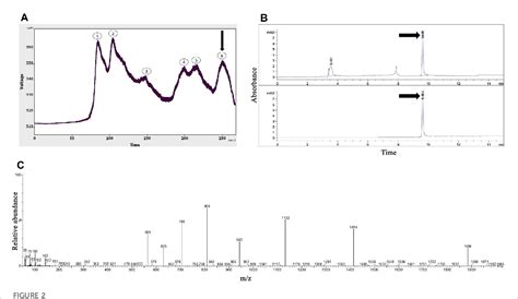 Figure 2 From The Synergic Effects Of Presynaptic Calcium Channel