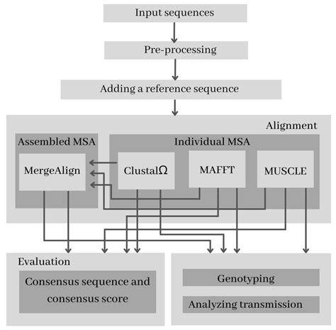 The Pipeline For Aligning Genotyping And Analyzing Transmission Of