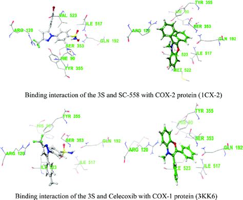 Molecular Docking Interaction Download Scientific Diagram