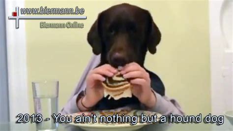 You Aint Nothing But A Hound Dog Dan Dee Hound Dog Stuffed Elvis