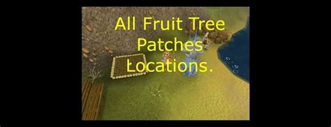 Osrs Fruit Tree Patches Best Osrs Guides
