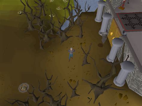 File Emote Clue Raspberry Keep Le Faye Png Osrs Wiki