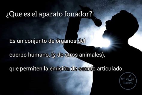 ¿que Es El Aparato Fonador Es Un My Voice Training Mx