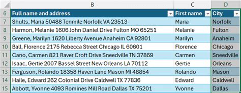 Copilot Excel University