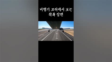 비행기 꼬리에서 보는 착륙장면 Youtube