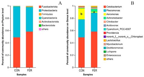 Effects Of Co Fermented Feed Using Lactobacillus Acidophilus Limosilactobacillus Reuteri And
