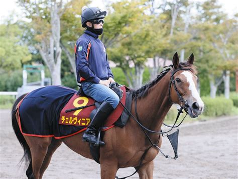【秋華賞】チェルヴィニアが制しオークスとの牝馬2冠達成 桜花賞馬ステレンボッシュは3着：中日スポーツ・東京中日スポーツ