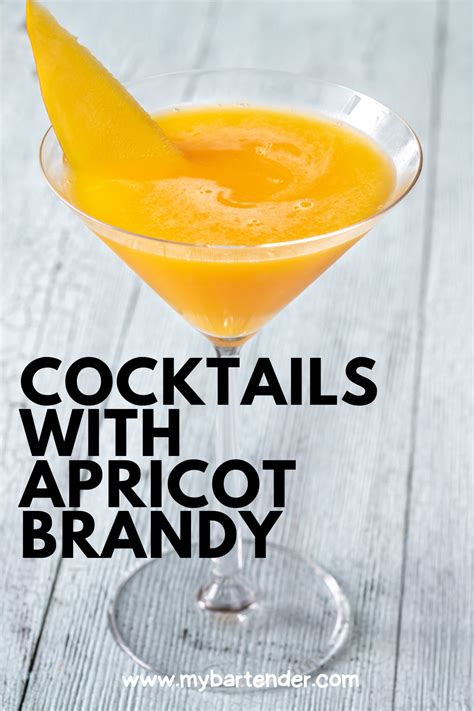 10 Best Apricot Brandy Cocktails To Drink My Bartender