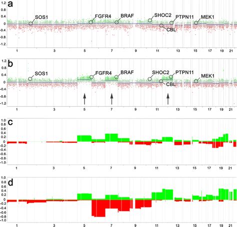 Copy Number Profile Of Different Methylation Groups While The