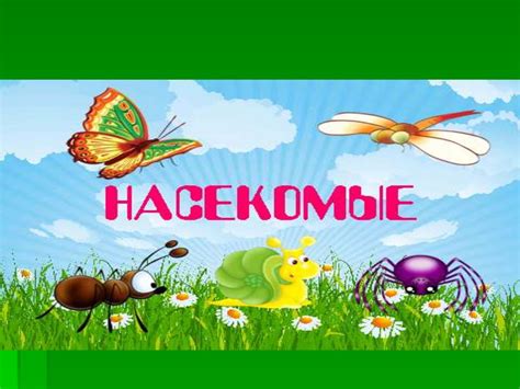 Насекомые презентация онлайн