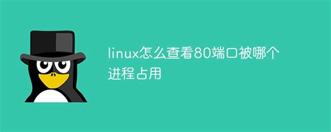linux如何查看80端口被哪个进程占用 米云