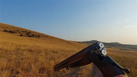 ატა ესპეს და სტოგერის ტესტი რომელიც არ მწყინდება 🤣🥰 25 ივლისი 2024 Youtube