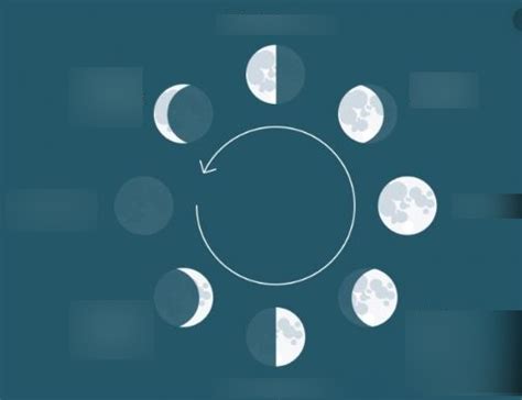 Moon Phases Diagram Quizlet