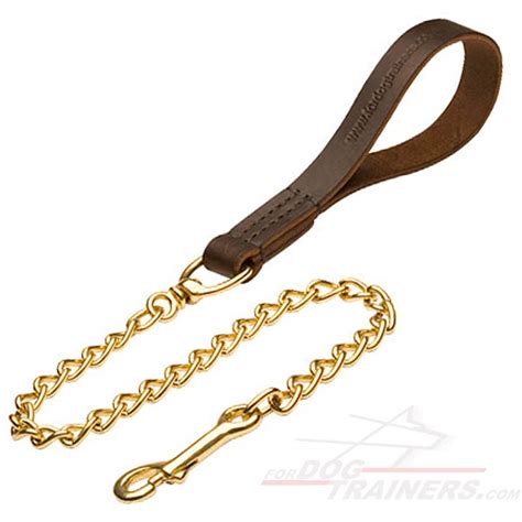 Get Chain Anti-Chew Dog Leash