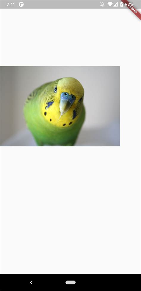 Canvas Drawimage Not Working From Running In Background（on Android