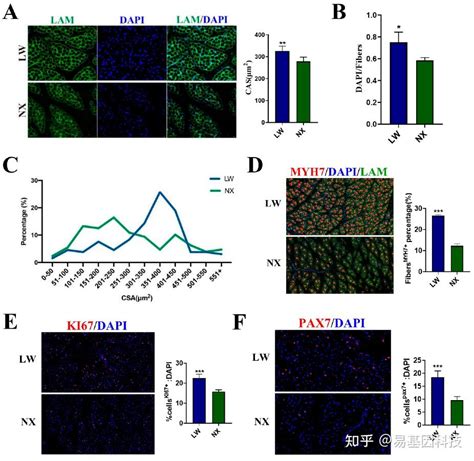 Merip Seq Rna Seq揭示不同品种猪肌肉发育的m6a Rna甲基化差异｜育种研究 知乎