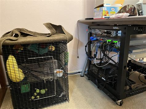 What Do You Recommend For Using Radarr And Sonarr R Radarr