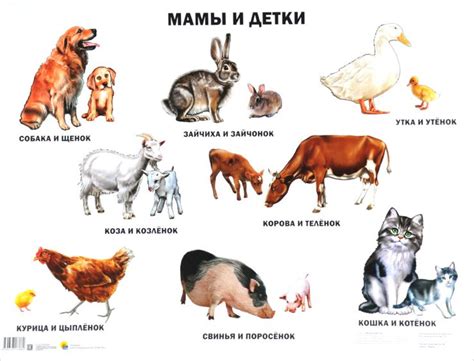 Плакат Мамы и детки Межрегиональный Центр Глобус