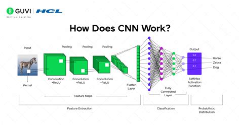 CNN In Machine Learning A Guide To Understanding Machines