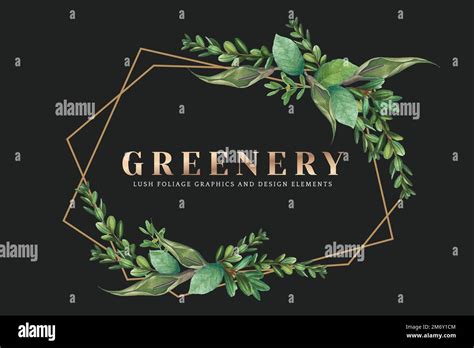 Tropical Greenery Frame Design Vector Stock Vector Image And Art Alamy