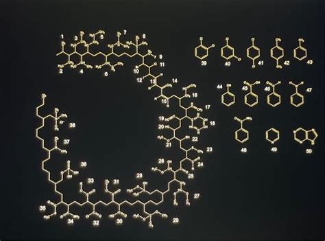 Solved Question 10 0 5 Pts Substituent 7 Iupac Name
