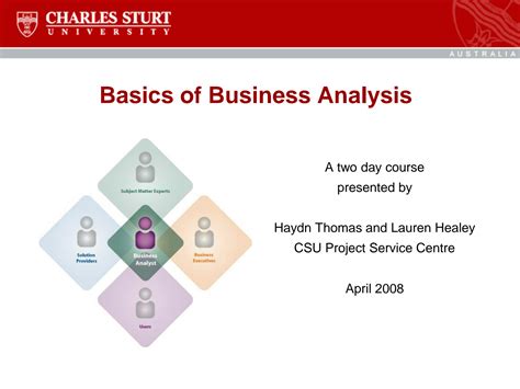 Solution Basics Of Business Analysis Studypool
