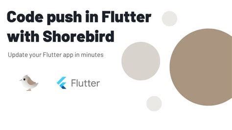 mobileapps techinnovation shorebird instantupdates appdevelopment