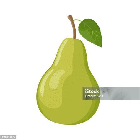 Pir Hijau Dengan Daun Ilustrasi Vektor Gaya Datar Diisolasi Pada Latar