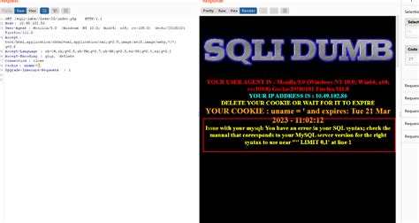 Sql注入之请求头注入 请求资源不可用 Sql注入 Csdn博客