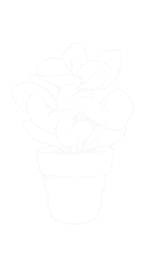 Peperomia — Milgro Nursery