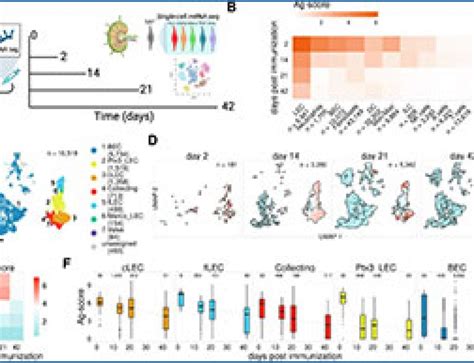 Rnaseqchef A Web Based Integrative Transcriptome Analysis To Automatically Detect Integrate