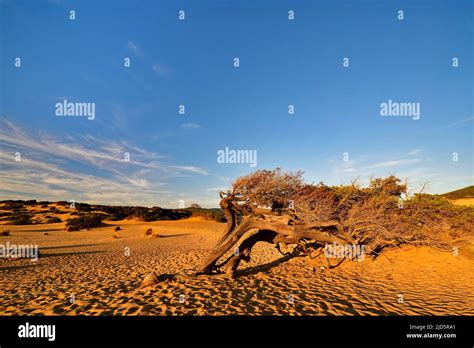 Spiaggia sardegna piscinas Fotos und Bildmaterial in hoher Auflösung Alamy