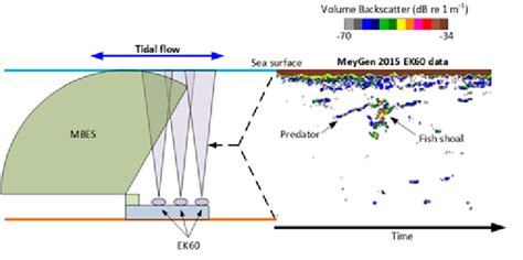 Multi Sensor Seabed Platforms That Combine Multi Frequency Echosounders