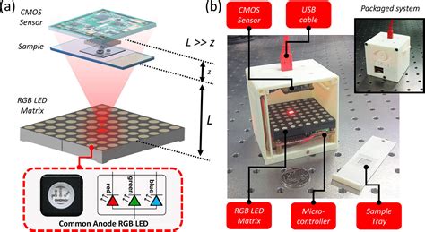 Computational Phase Imaging For Light Microscopes