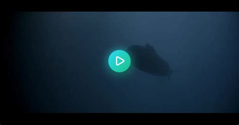when user sub newest doesn t refresh album on imgur