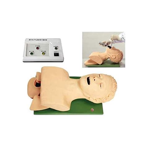 Buy Adult Intubation Model Airway Management Trainer Intubation