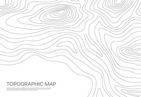 Topographic Map Grid Texture Relief Contour Stock Vector Illustration Of Topology Abstract