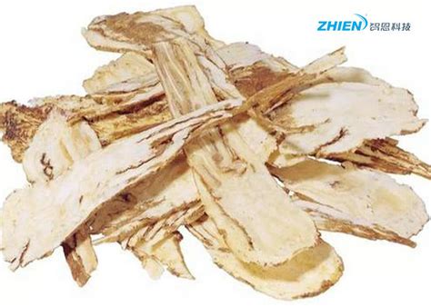 烘干工艺之当归烘干 中药材烘干机厂家