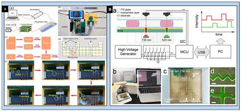 Innovative Microfluidic Technologies For Rapid Heavy Metal Ion Detection