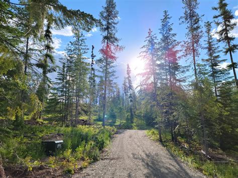 Lakes And Campgrounds Near Colville Washington