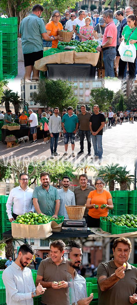 El Mercat De La Taronja Deja Buenas Sensaciones En El Primer Domingo De