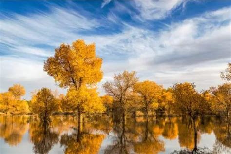 Aaaa